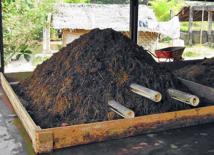 Tips Membuat Pupuk Kompos - BUDIDAYAKU