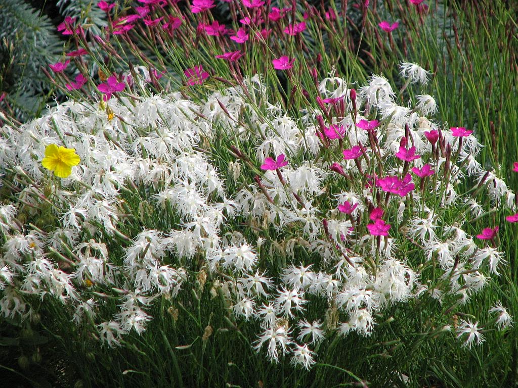 kahe valla piiri peal: juhhuu, suvi algas