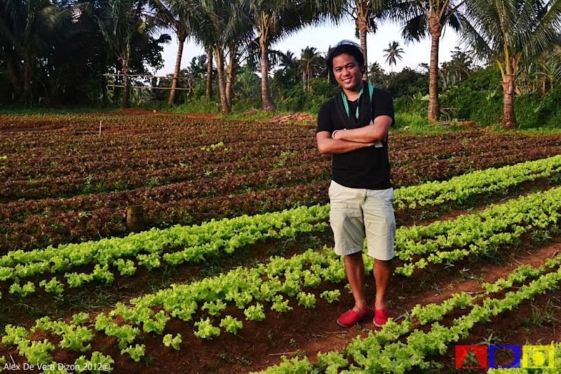 Rammmpa!: Nature and Me at Costales Nature Farms