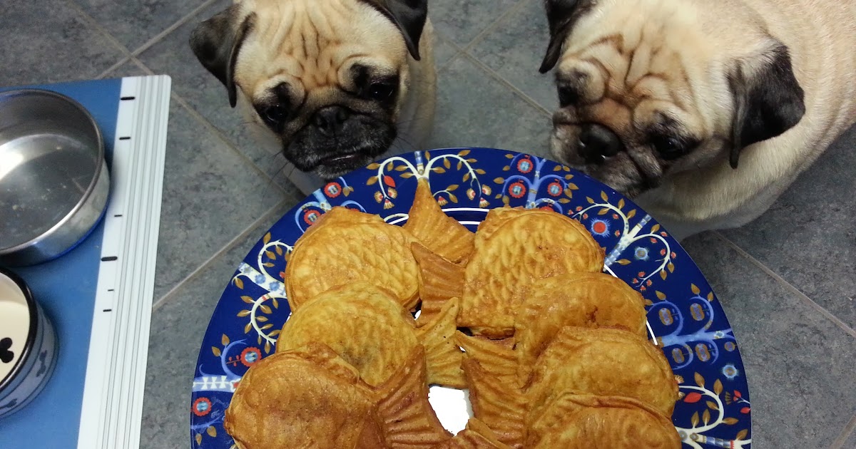 Grubbin' Pugs: Pancakes/Waffles with Dark Chocolate and Coconut Pudding ...