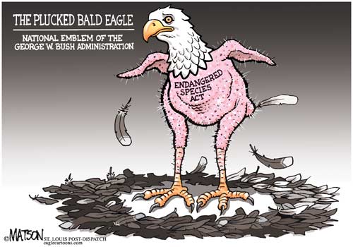 Endangered Animals: Political Cartoon