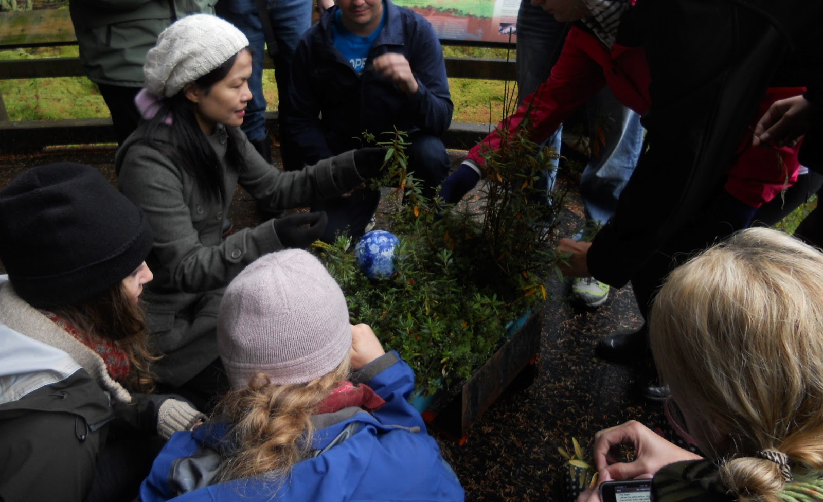 The Social Art of Architecture: susan chung