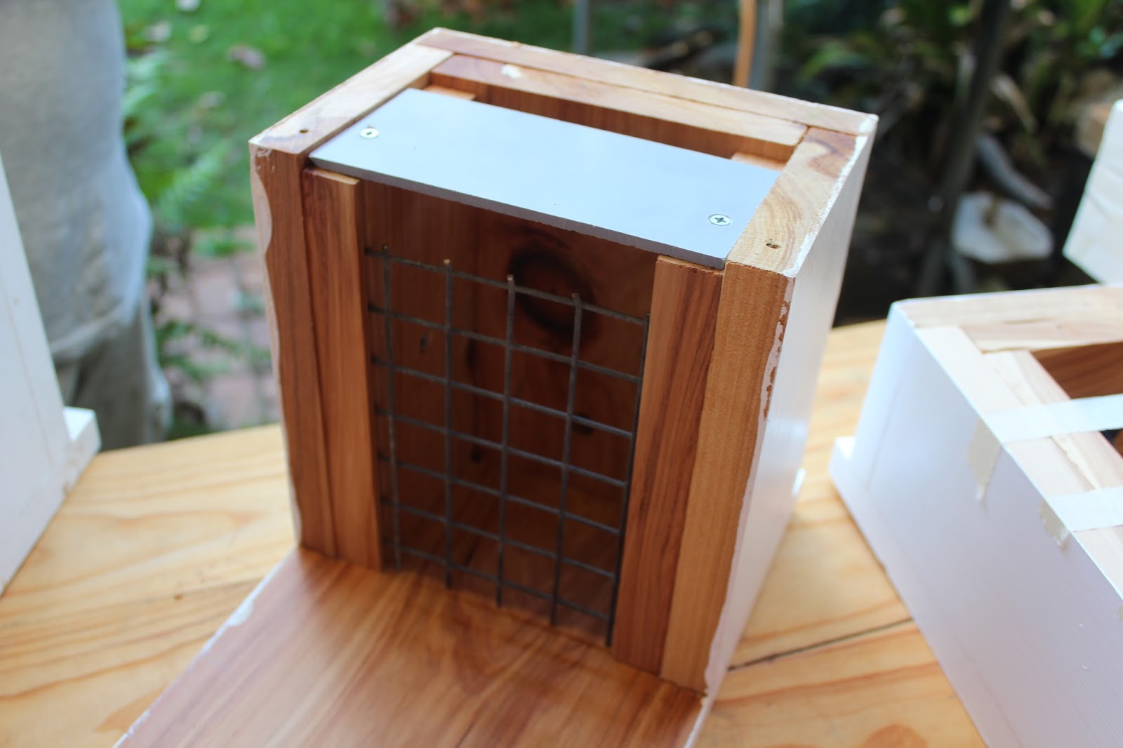 Native bee hive split - FROTH design