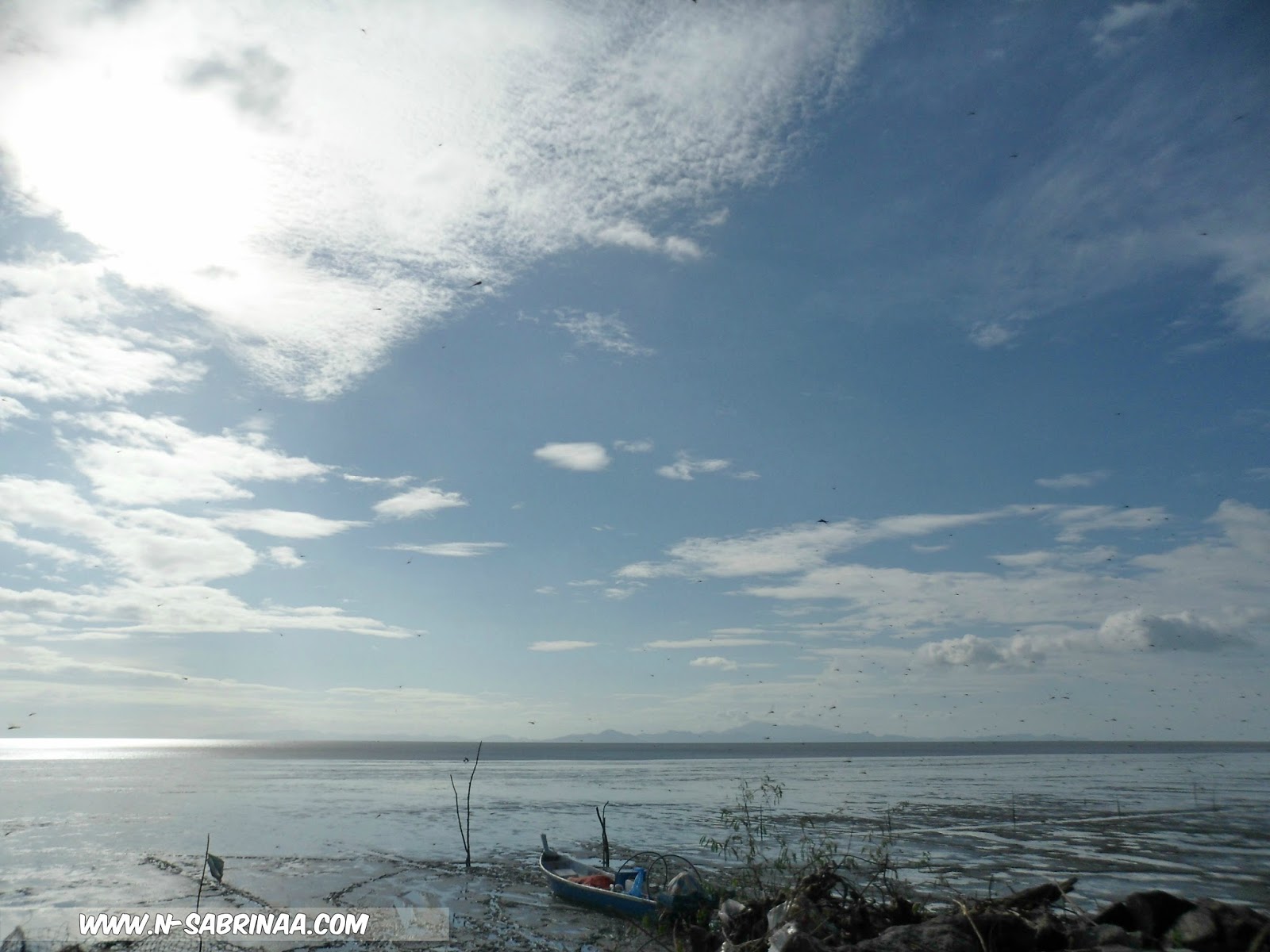 Menyusuri pemandangan sawah padi bersebelahan laut di Perlis - Catatan ...