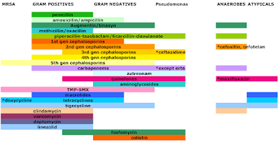 Usmle notes : USMLE antibiotics chart