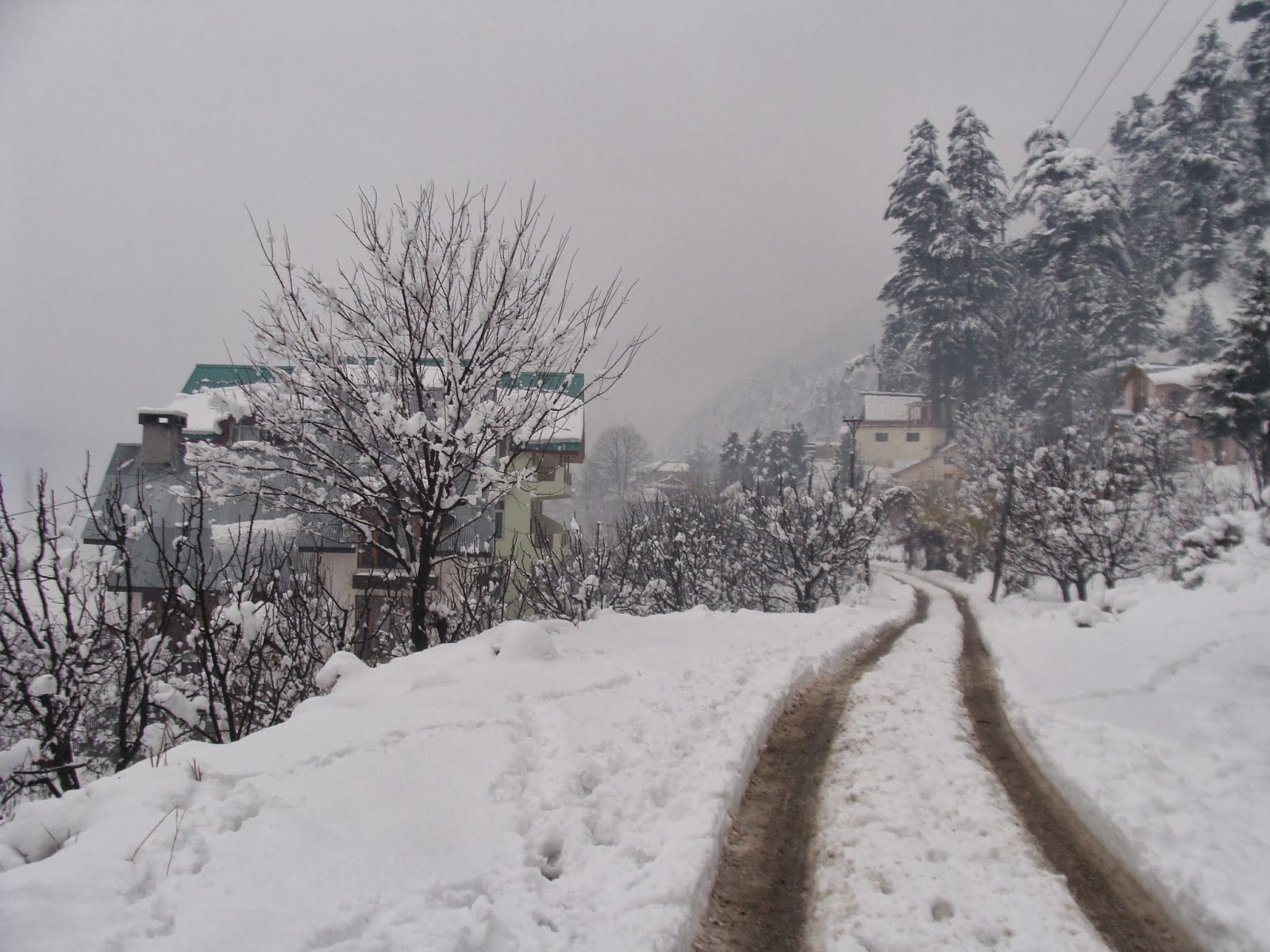 Fresh snowfall in Manali