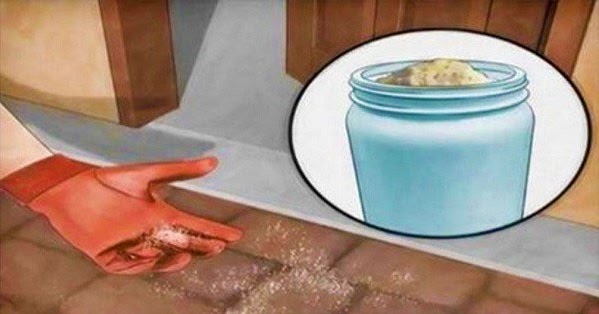 Spreading Salt Around The House. Here’s Why It’s So Incredible!