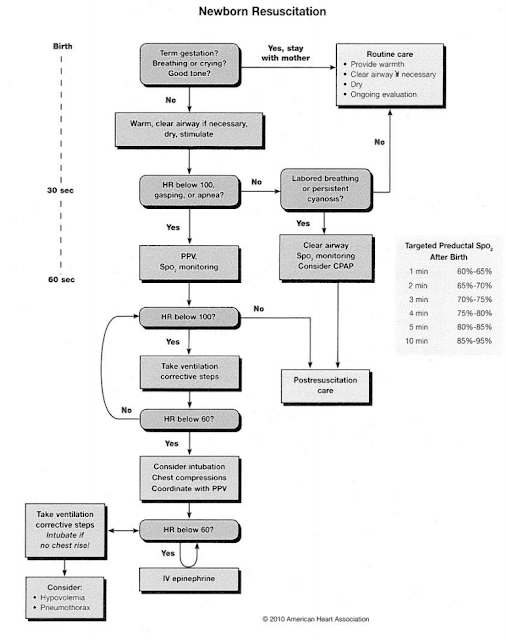 OurMedicalNotes: NEONATAL RESUSCITATION