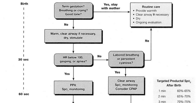 OurMedicalNotes: NEONATAL RESUSCITATION