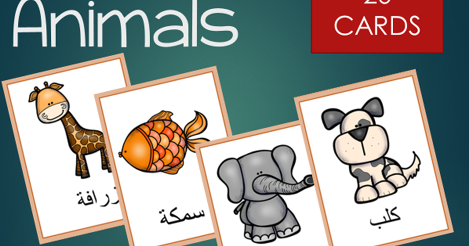 Arabic vocabulary animals