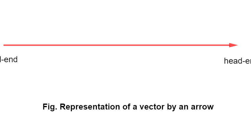 Scalars and Vectors | Complete notes | Important Questions | Class 11 ...