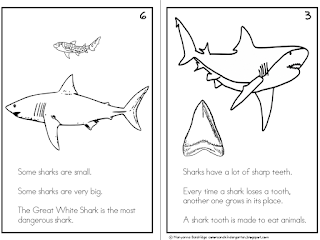 Colors and Kindergarten: Shark Week!