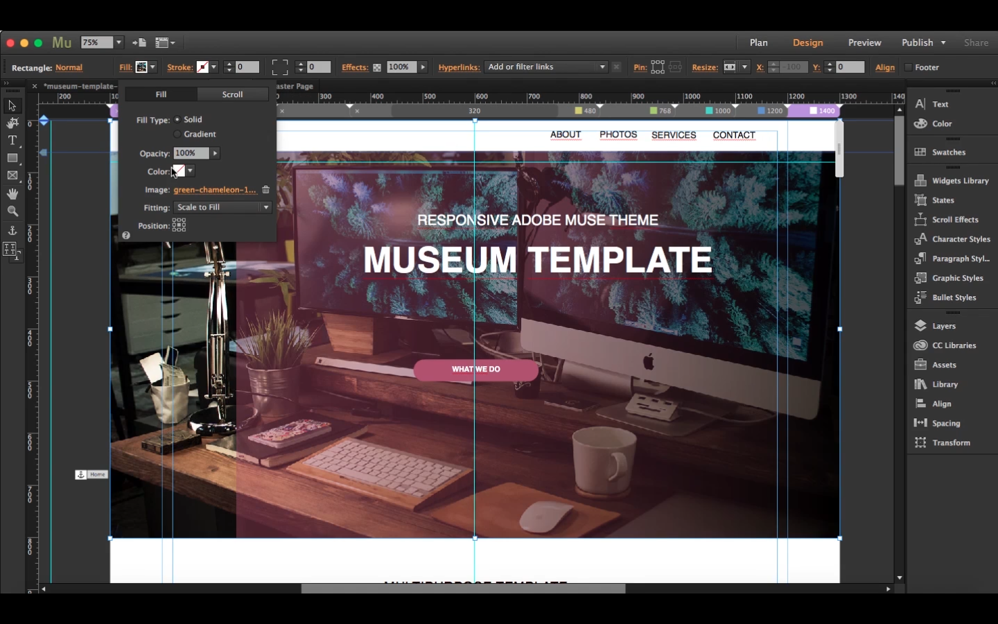 Adobe muse websites - rollkop