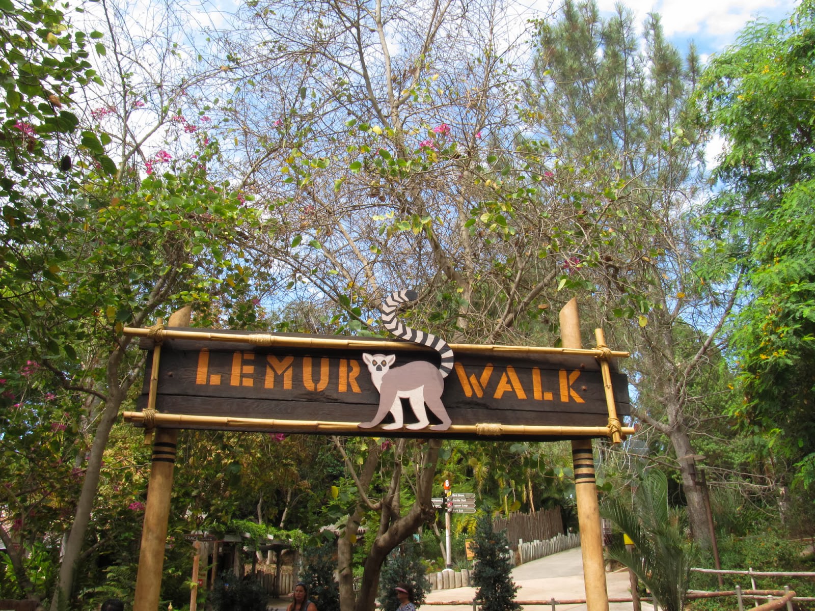 Life with Dylan: Have you walked with the lemurs?