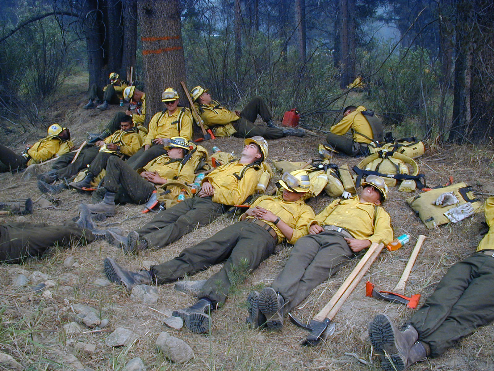 Wildland Fire Leadership: December 2016