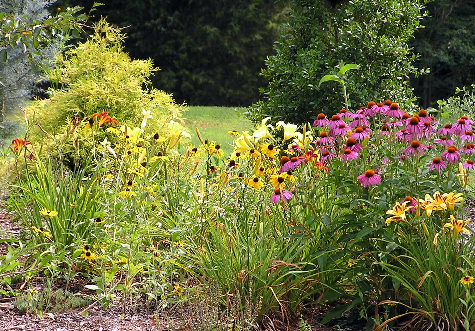 Stitchin' Therapy: Blooming garden