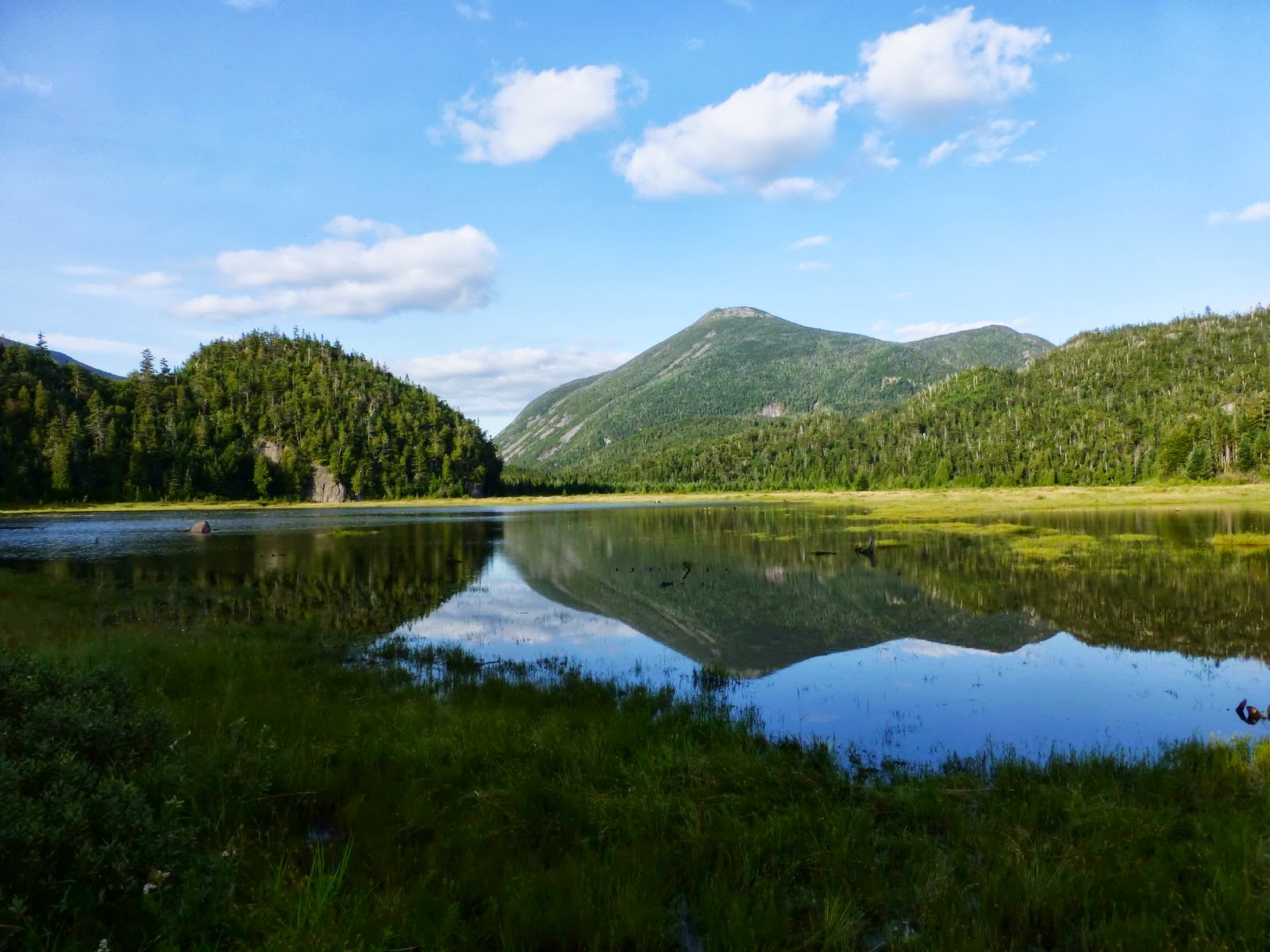 Off on Adventure: Herbert Brook Leanto - Flowed Lands - ADK High Peaks ...