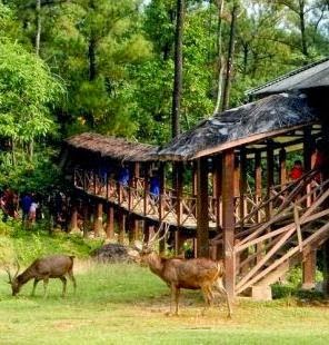 Wahana Wisata Penangkaran Rusa | Sayaga Wisata