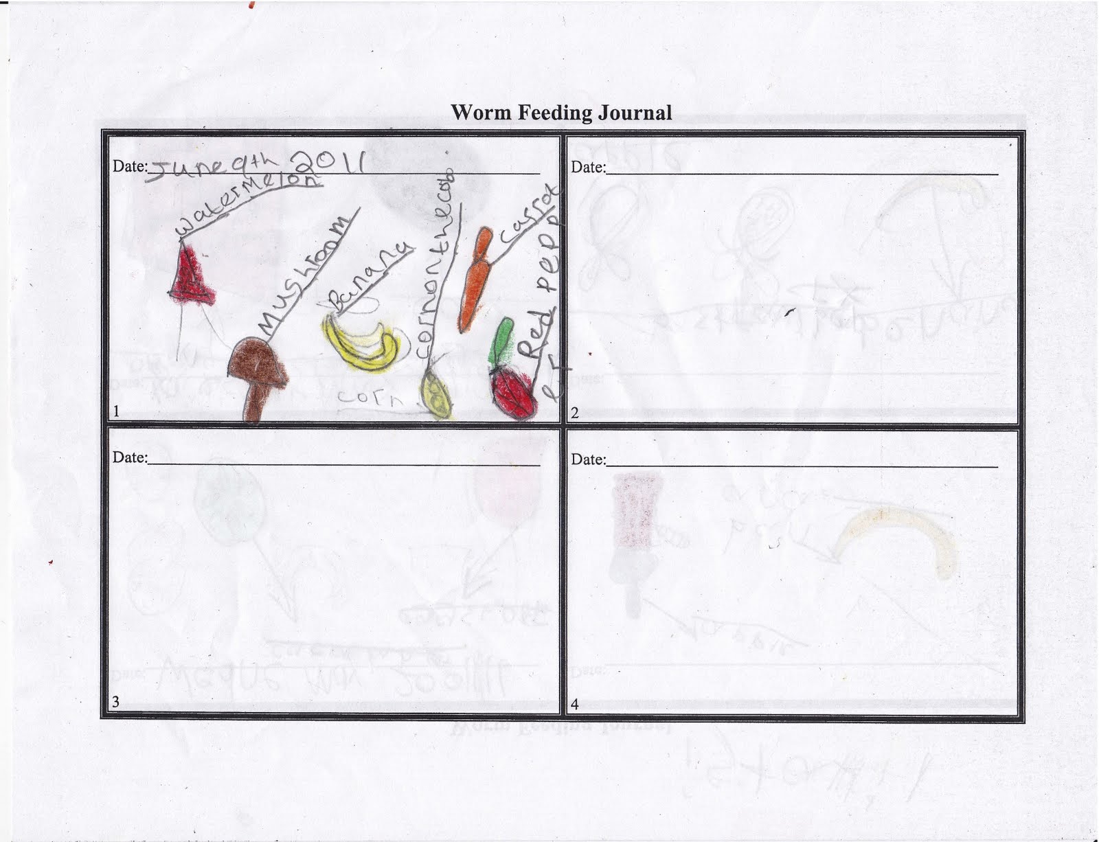 George Syme Community School Garden Club: All About Worms!