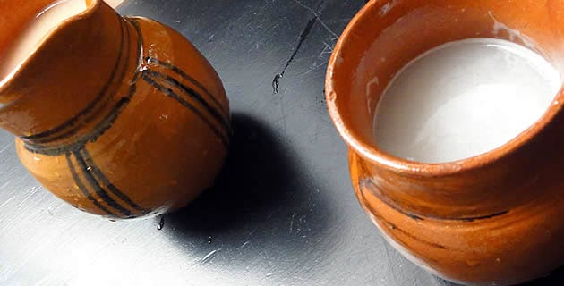 El Pulque: legado ancestral : Coatepec "Pulque bebida tradicional"