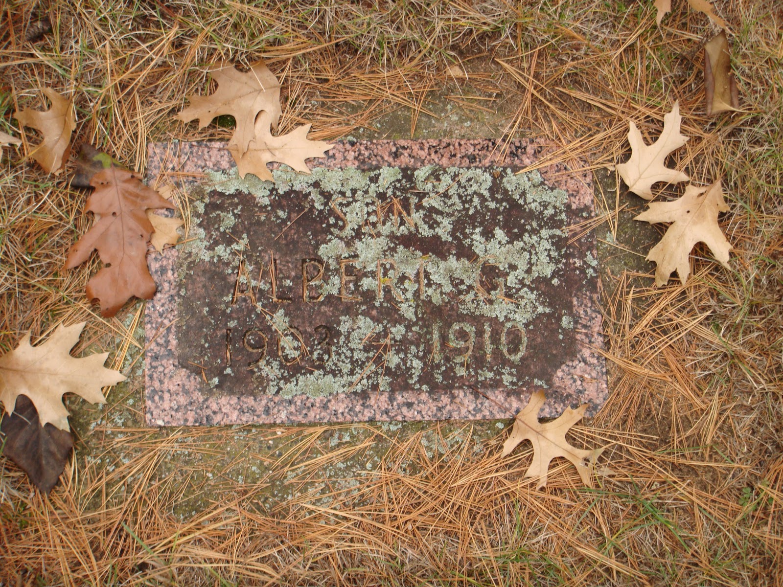 Minnesota Cemeteries: Darling Cemetery Children (Morrison County) Minnesota