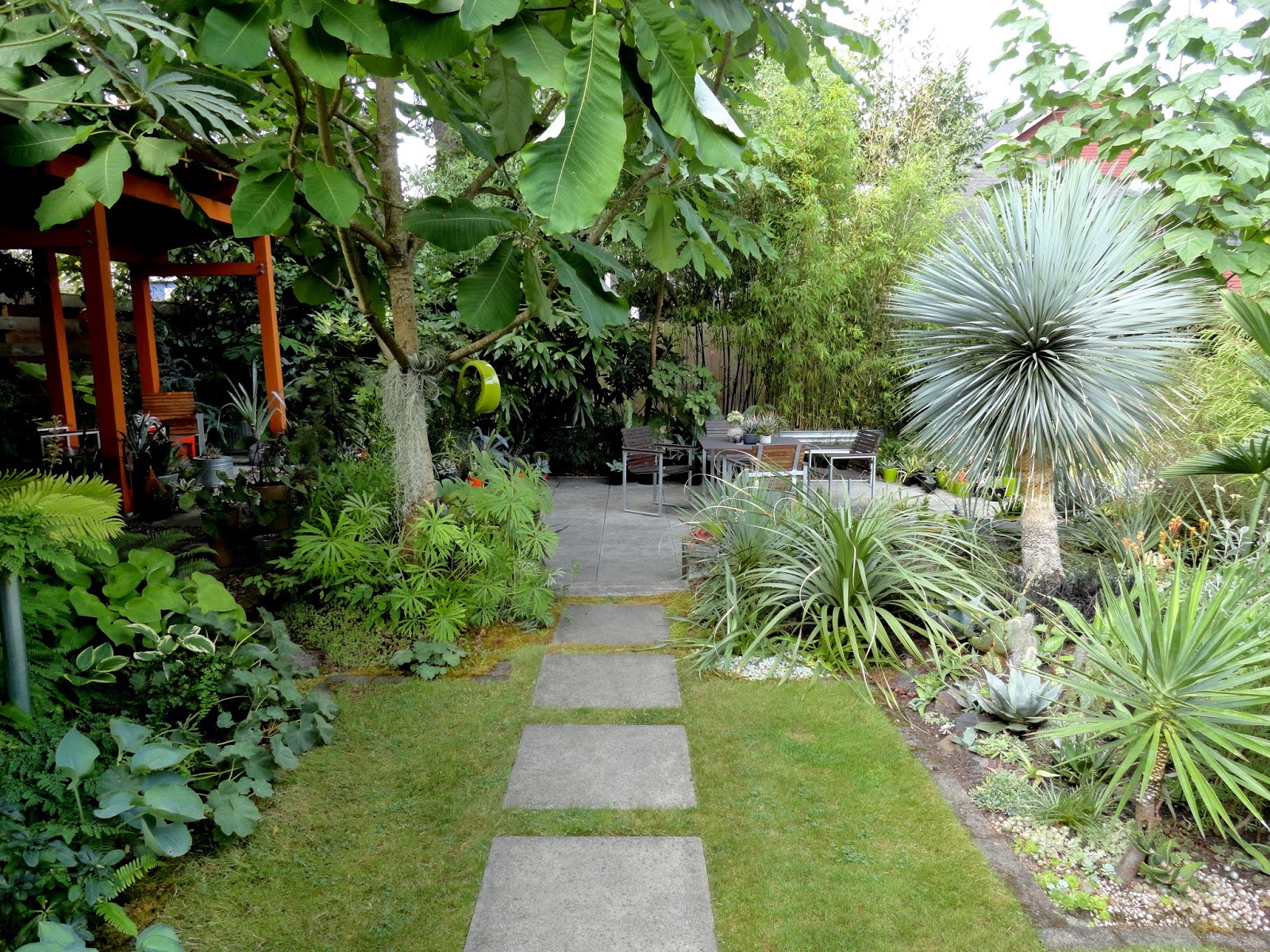 danger garden: Tour 2017, the back garden