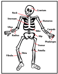 noviembre 2016 ~ MY ENGLISH AND SCIENCE