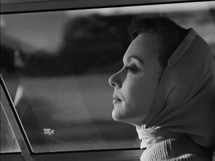 the passionate moviegoer: cinema obscura: Maddow/Meyers/Strick's "The ...