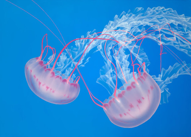 Beautiful jellyfish pictures | Amazing Creatures