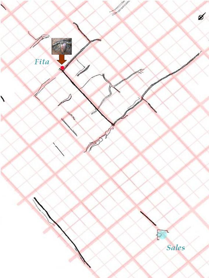 KuanUm!: QUELLE EST LA SPÉCIALITÉ DU CHEF?: NUEVAS TRAZAS DE UN ...