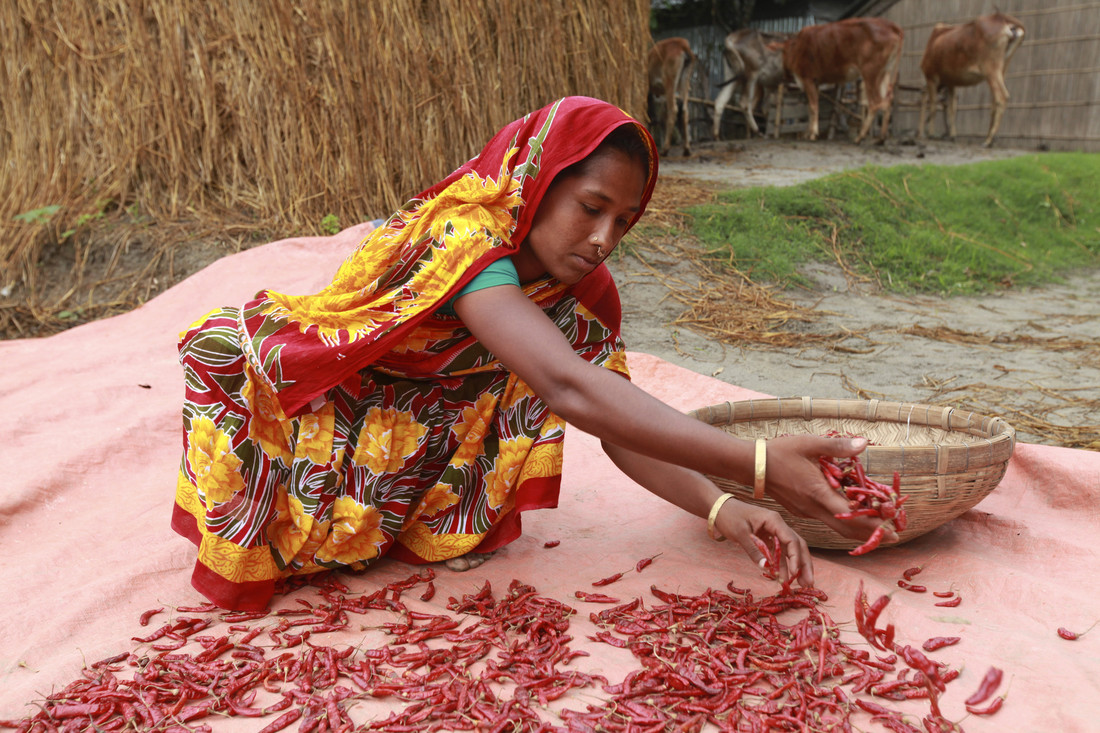 Empowering women with chilli peppers - Oxfam offers a sustainable ...
