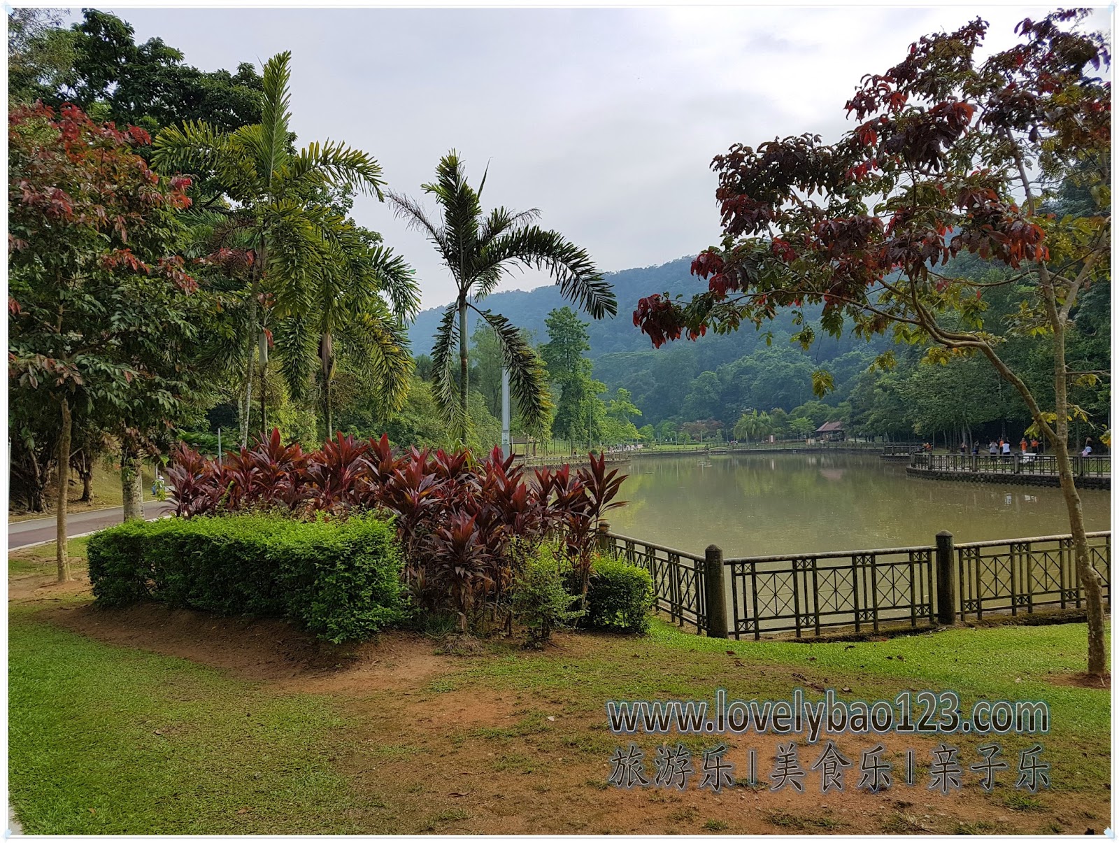 【亲子活动】野餐记 Picnic @ TTDI Park / Taman Rimba Kiara - 吃喝玩乐旅宝妈 LOVELYBAO123 ...