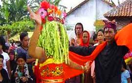 indonesia warna warni: Tradisi Seblang Banyuwangi, Jawa Timur