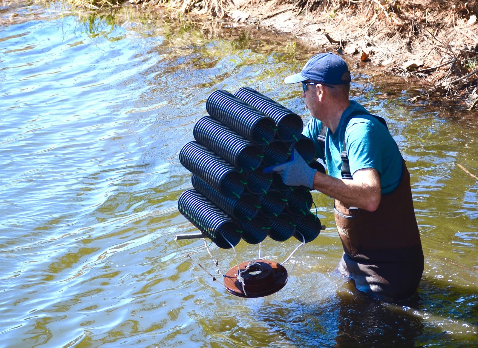The View from Southwest Station: Developer installs fish condos.