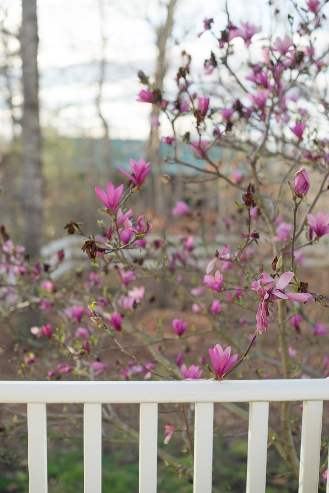Domestic Fashionista: Spring At The Farmhouse