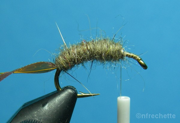 Flytying: New and Old: Royal Bobesh