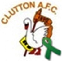 ESCUDOS DO MUNDO INTEIRO: PIRÂMIDE DO FUTEBOL INGLÊS - SOMERSET COUNTY ...