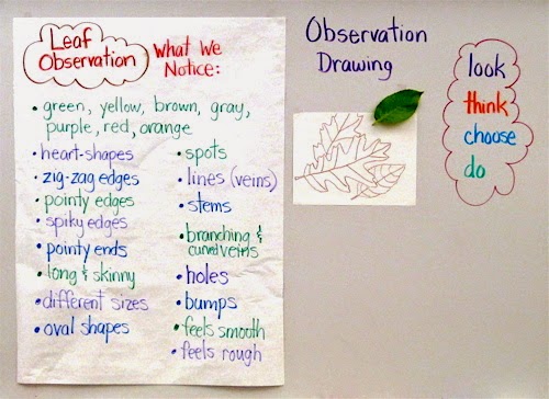 Creating Art With Kids: leaf observation drawing with watercolor