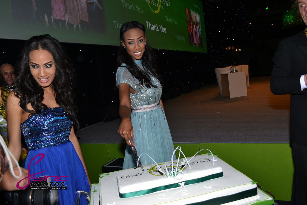 Photos from Olusegun Obasanjo Foundation launch in London
