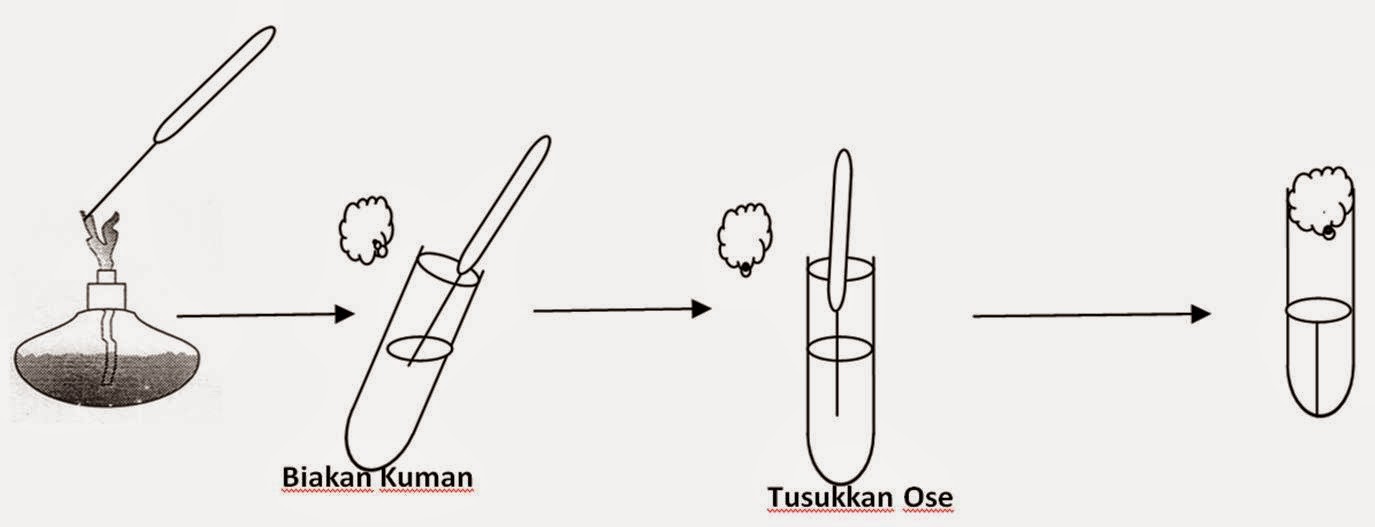 Artanta-Bagus: Uji Media Biokimia