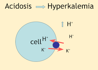 Tutor's Notes: general, cardiovascular, respiratory and renal ...