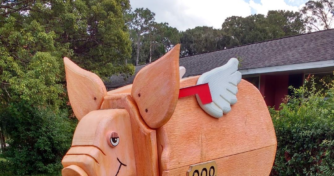 Angels for You: When Pigs Fly... An Angel Message