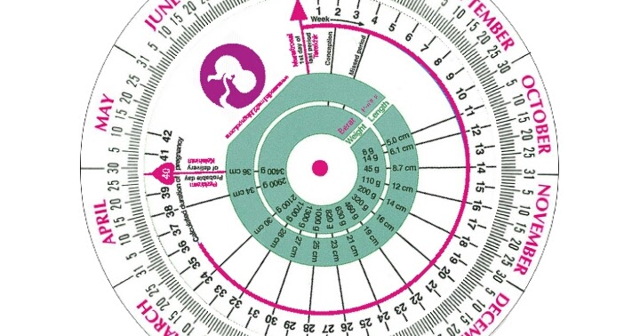 Aplikasi Android Kalender Kehamilan (Kalmil) / Kalkulator Kehamilan ...