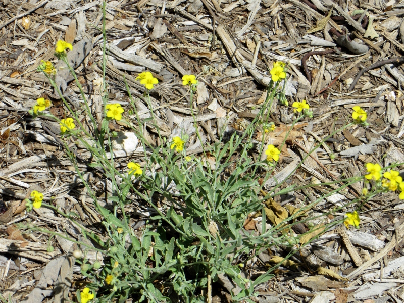 Travel Bug: Must Catch Up! -- Sun., Apr. 14