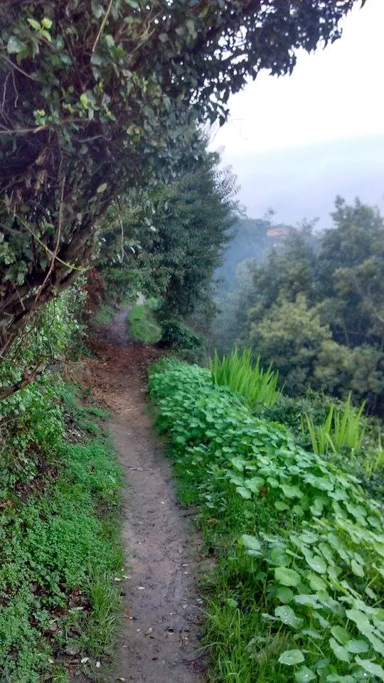 .: Fotos del Cerro David Fuentes (TALCAHUANO): Fotografiadas por ...