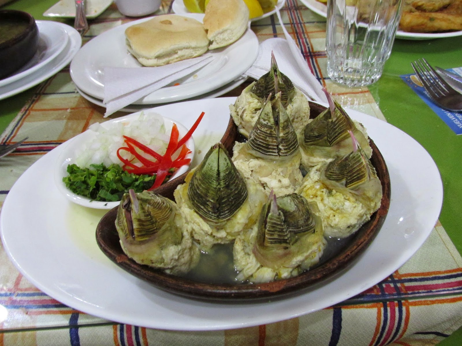 Seth in Chile: Heart, Tongue, Horse, Giant Barnacles and Living Rocks