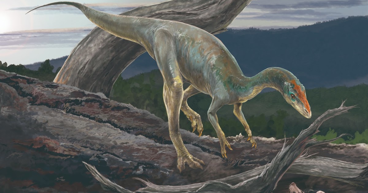 Glimpses of Prehistory