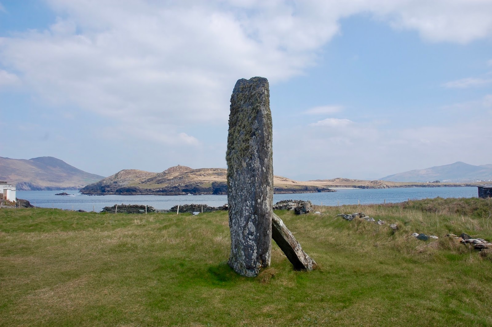 Truth, Beauty, Freedom, and Books: 2019