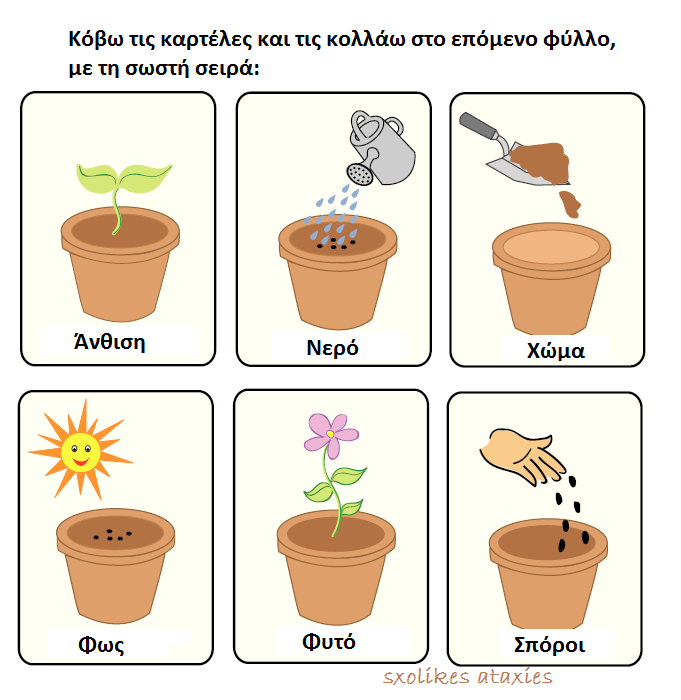 sxolikes...ataxies: ΔΡΑΣΤΗΡΙΟΤΗΤΕΣ ΓΙΑ ΤΑ ΦΥΤΑ