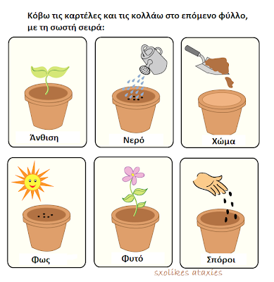 sxolikes...ataxies: ΔΡΑΣΤΗΡΙΟΤΗΤΕΣ ΓΙΑ ΤΑ ΦΥΤΑ